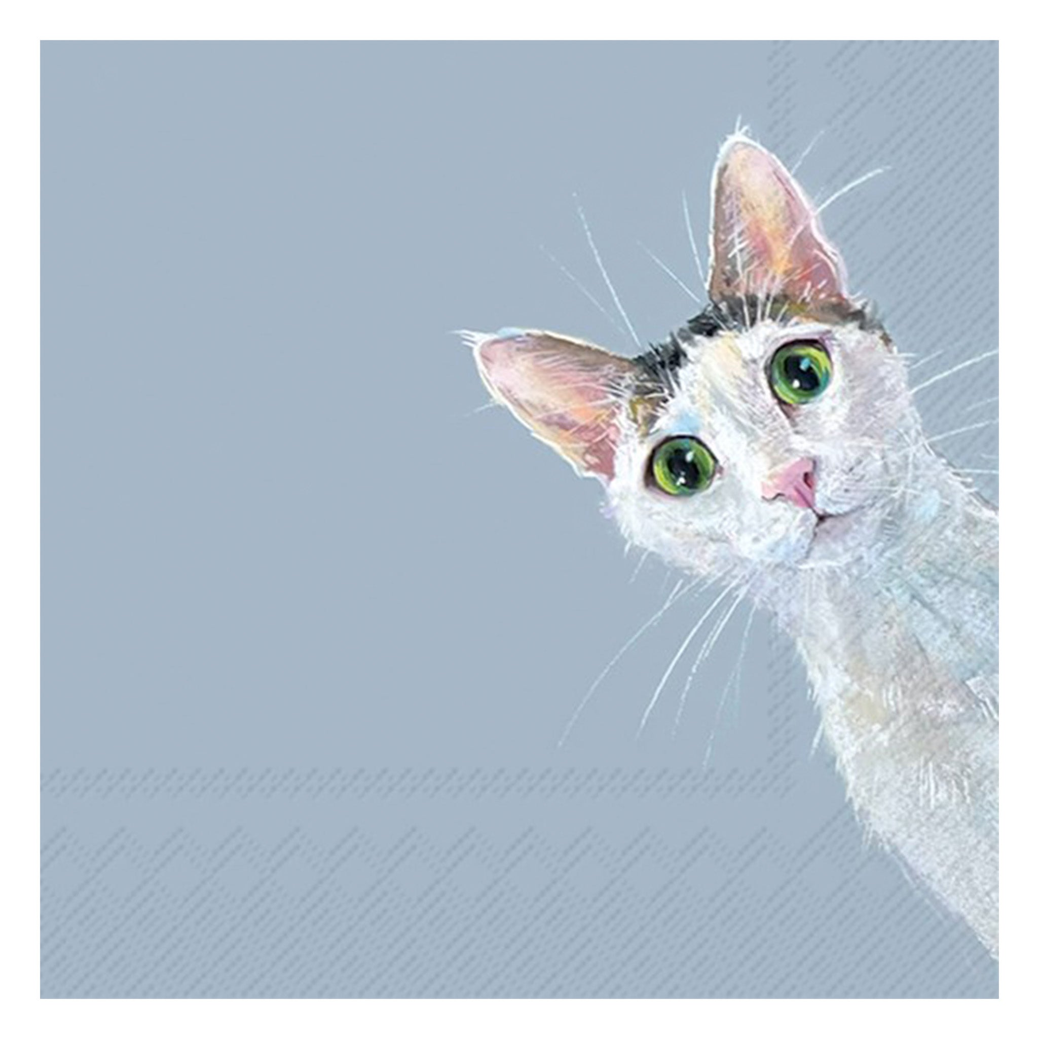 Serviettes de table - Chat curieux | Cuisine | Boutique Kozy