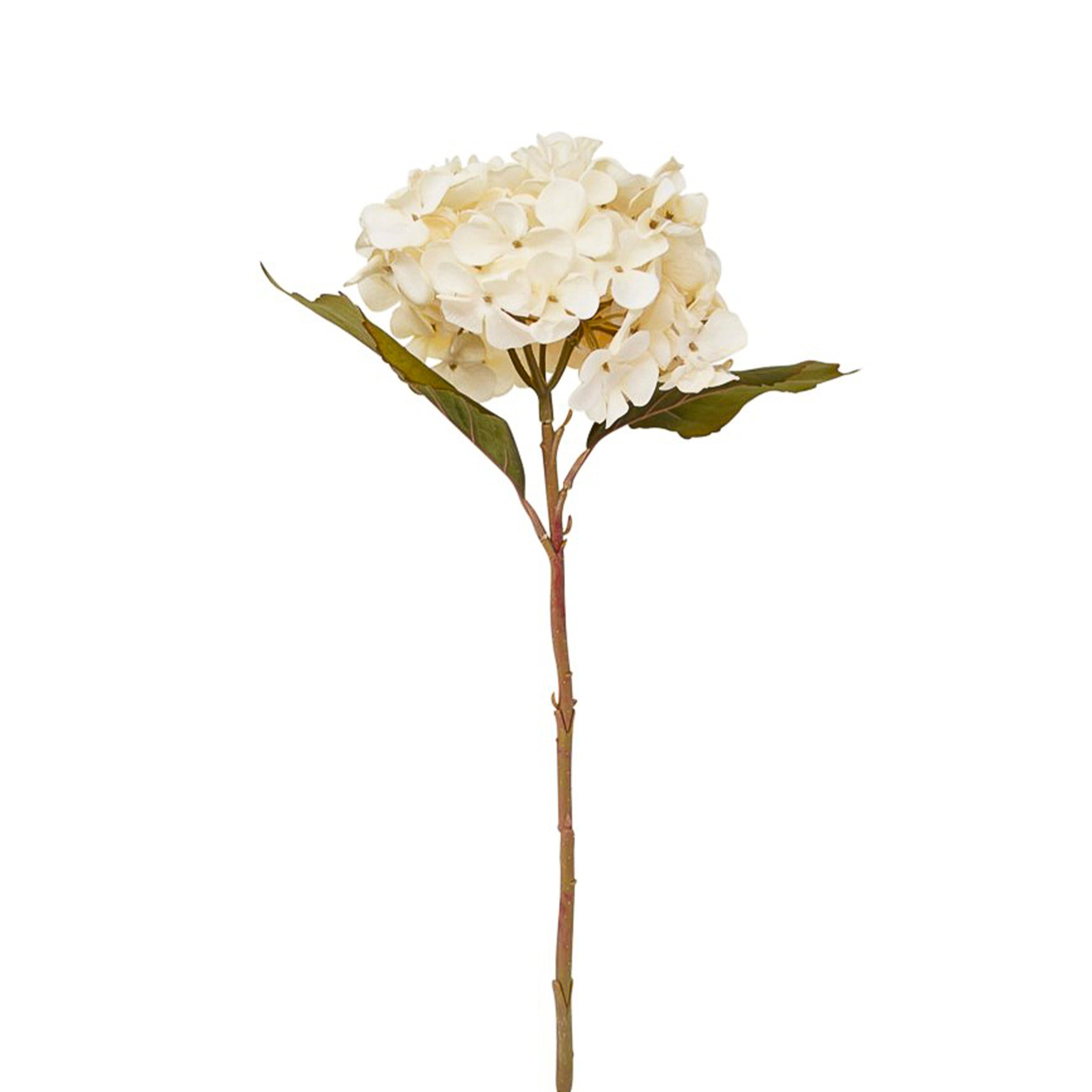 Stem Of White Flowers Branches Stems Boutique Kozy